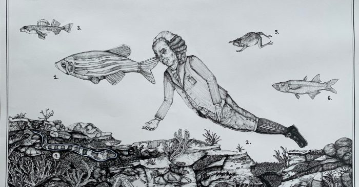 2022 Tim Olsen Drawing Prize | UNSW School of Art & Design - UNSW Sydney