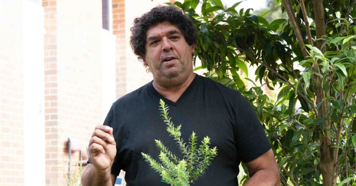 Collective Action for Social Impact: UNSW CSI collaborating with ...