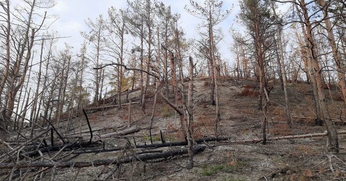 The war in Ukraine – an environmental disaster getting worse by the day
