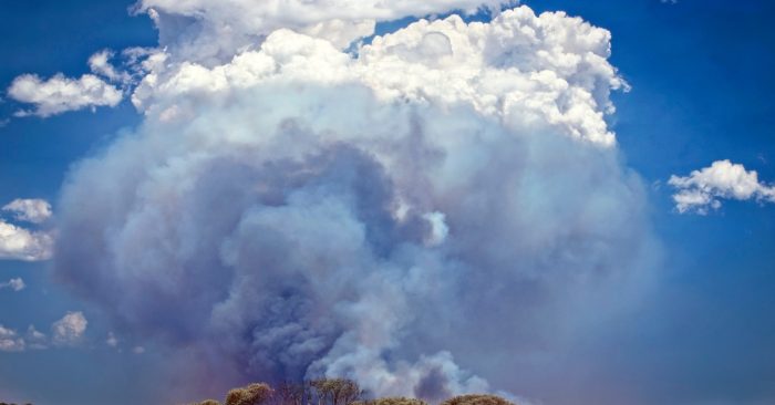 Understanding firestorms | UNSW Bushfire - UNSW Canberra
