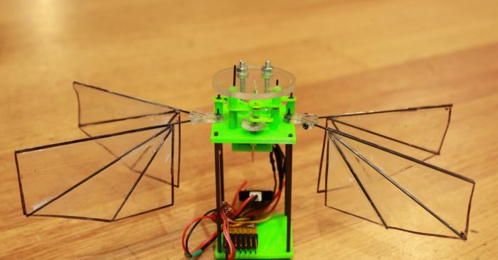 Tiny wings, big potential. How insects are shaping the future of micro ...