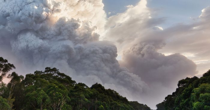 Meet our researchers | UNSW Bushfire - UNSW Canberra