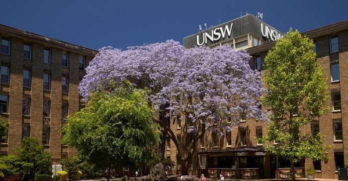 About us | Equity, Diversity & Inclusion - UNSW Sydney