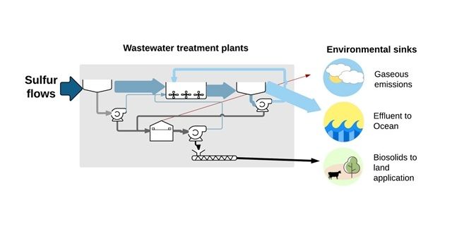 Sulfur flows and biosolids processing
