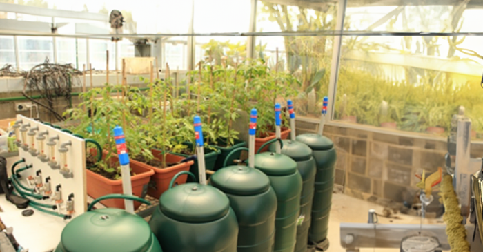 Subsurface Drip Irrigation SDI | Netafim