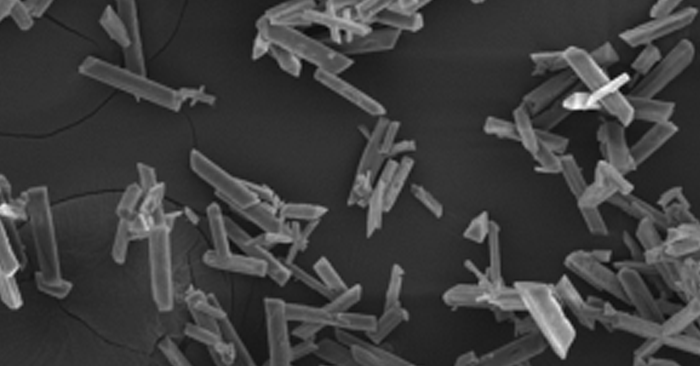 Phosphorus recovery from wastewater | UNESCO Centre for Membrane ...