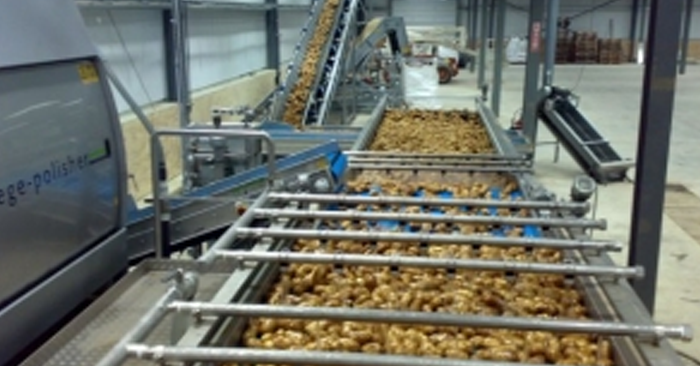 Protein recovery from potato processing water using ultrafiltration ...