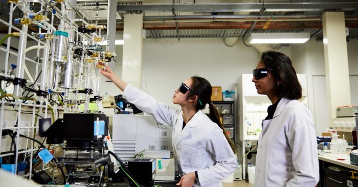 Work Integrated Learning Programs | Science - UNSW Sydney