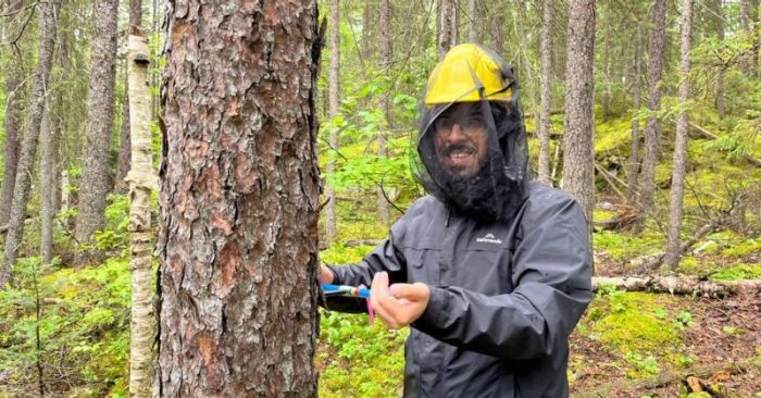 How Tree Rings Can Help Small Islands Fight Climate Change!