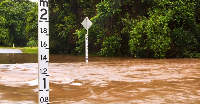 Helping Communities Stay Safe in Emergencies: Sara Fazeli’s Research in ...