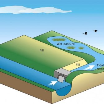 Our expertise | Water Research Laboratory - UNSW Sydney