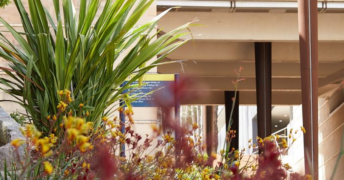 Contact us | Governance - UNSW Sydney