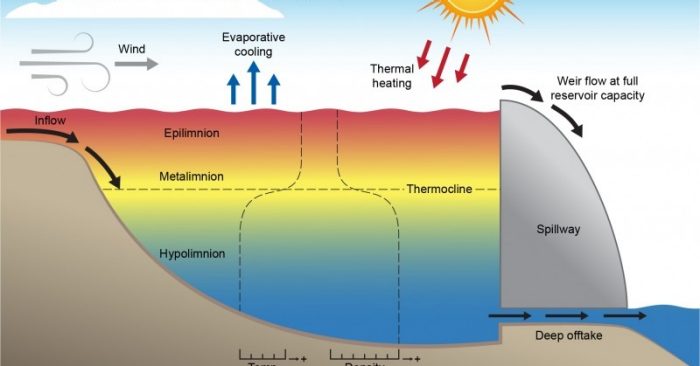 Cold water pollution: What is it, and how can we limit its ...