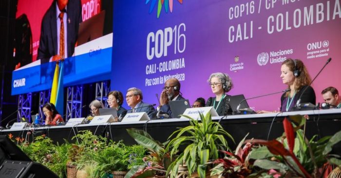CBD COP16: A Tale of Two Spaces - Side Events Soar While Negotiations Stall