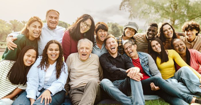 Cognitive Health and Dementia Risk Assessment (CogDRisk)| Ageing ...