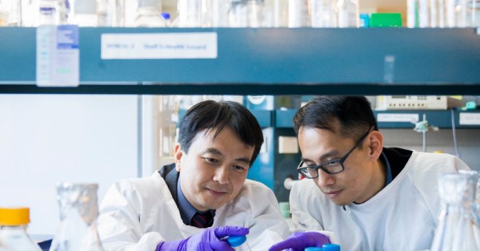 Immunology | Science - UNSW Sydney