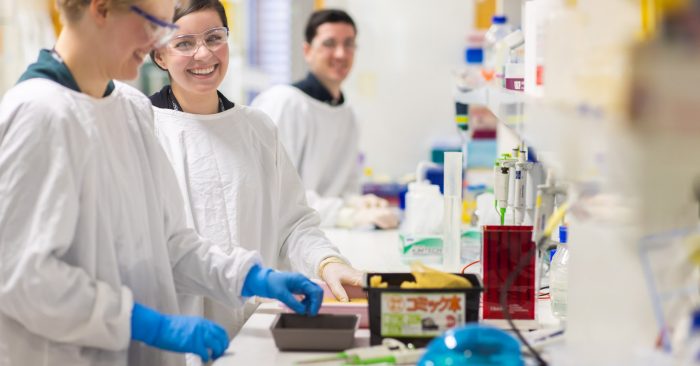 Partner with us | National Drug & Alcohol Research Centre - UNSW Sydney