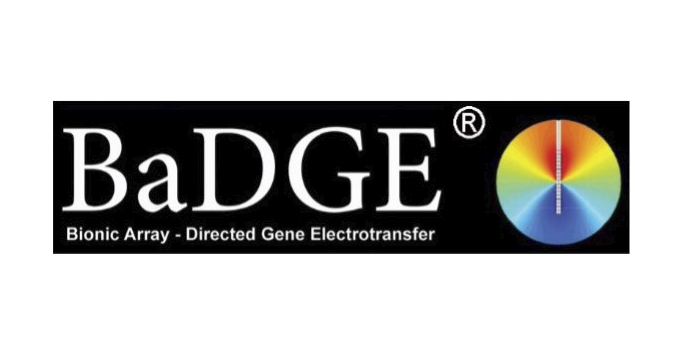 BaDGE® Bionic array Directed Gene Electrotransfer DNA/RNA Therapeutics ...