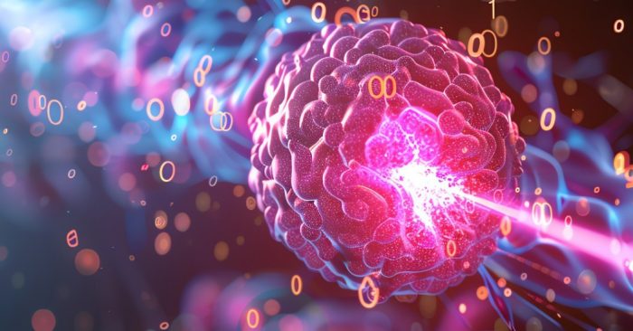 Phillips Group: Pancreatic Cancer Translational Research