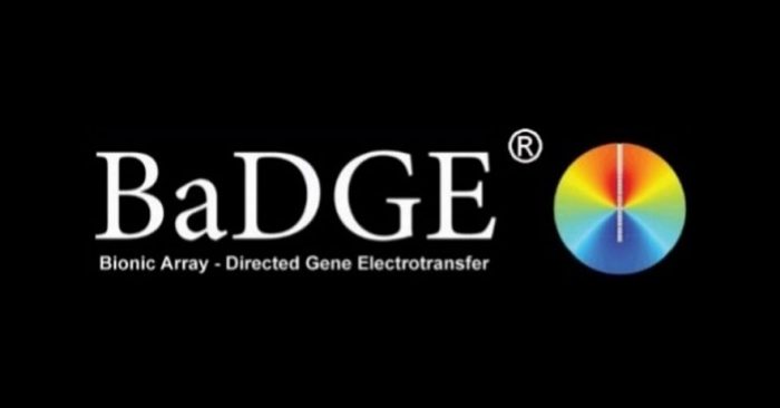 BaDGE: Bionic Array - Directed Gene Electrotransfer
