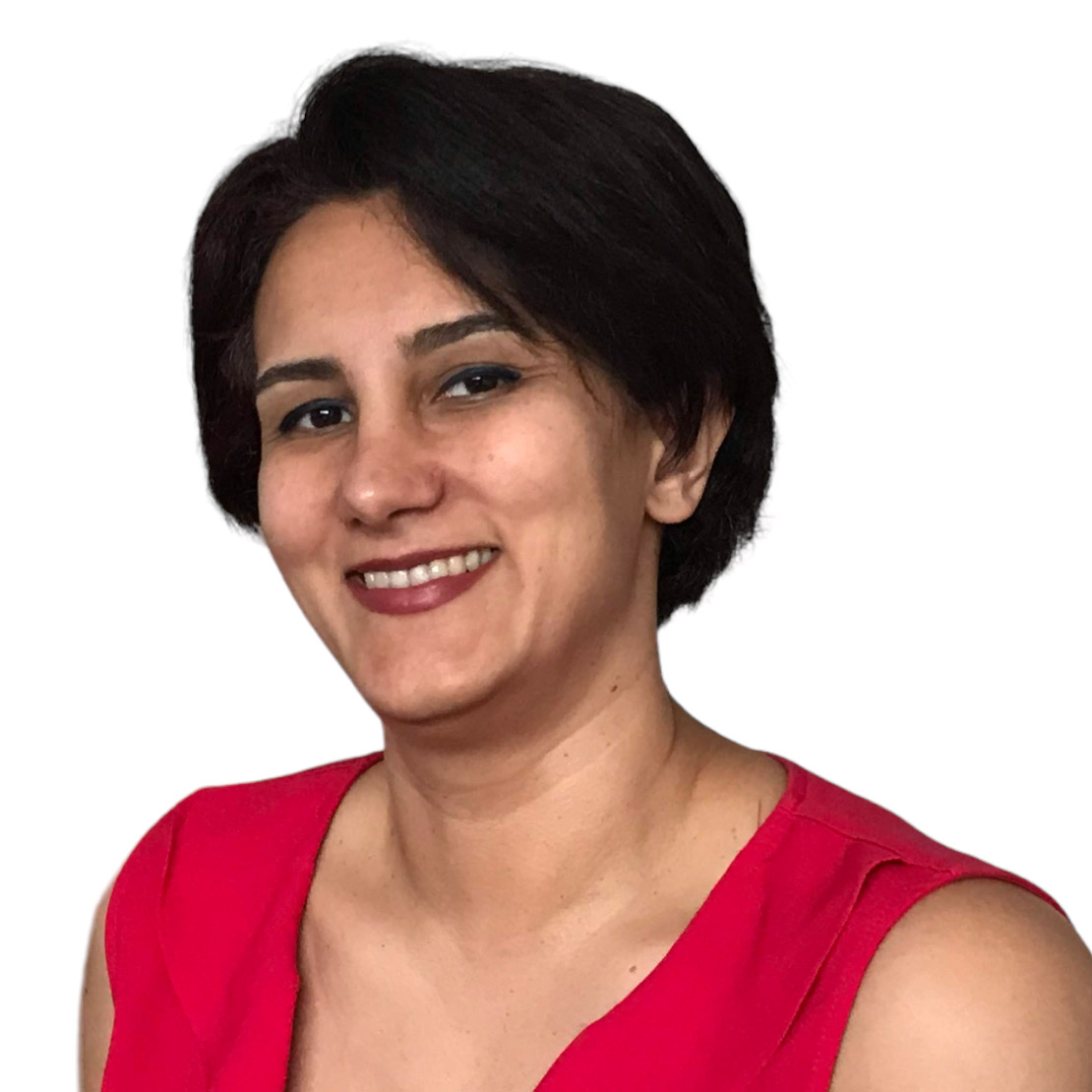 Behnoosh H Khalaj | Centre for Big Data Research in Public Health ...