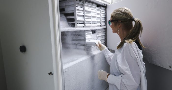 Research & impact | CHeBA - UNSW Sydney