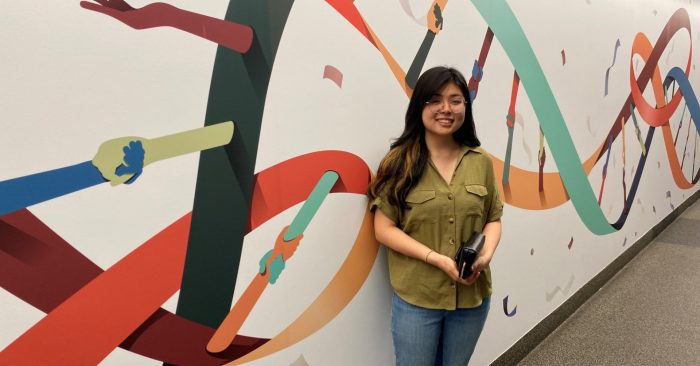 Fourth Year student Helen Han designs winning murals for Wallace Wurth ...