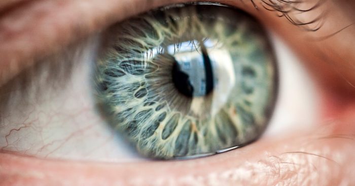 School of Optometry & Vision Science | Medicine & Health - UNSW Sydney