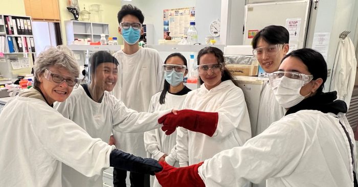 UNSW Vision Science Research Experience: Focus on human eye anatomy and ...