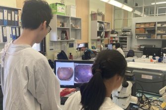 Summer of Vision Science