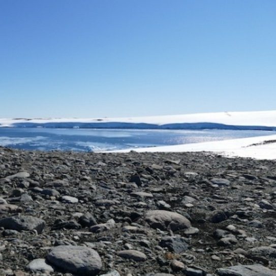 Microbes living on air a global phenomenon
