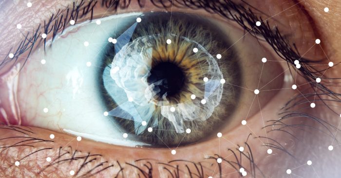 Mind blindness decoded: people who can’t see with their ‘mind’s eye ...