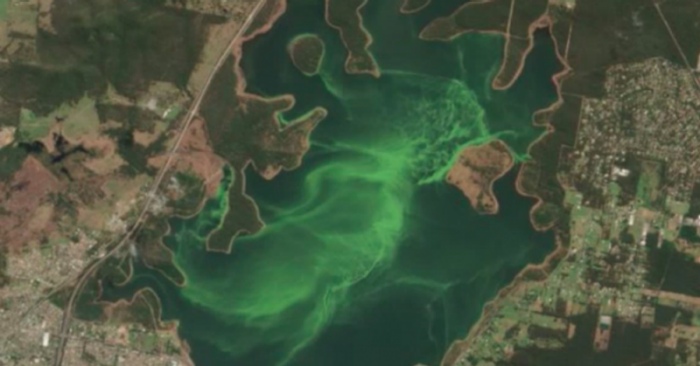 Development of predictive models for algal blooms in drinking water ...
