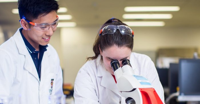 Higher degree research students | School of Materials Science and ...