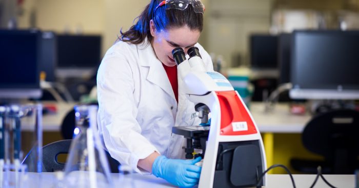 Masters by Research | Science - UNSW Sydney