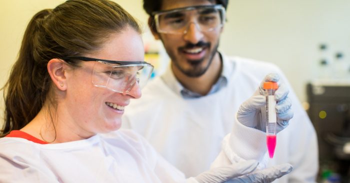 Equity, Diversity & Inclusion