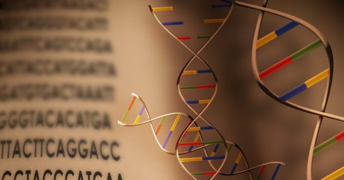 Paper of the Month | Biotechnology and Biomolecular Sciences - UNSW Sydney