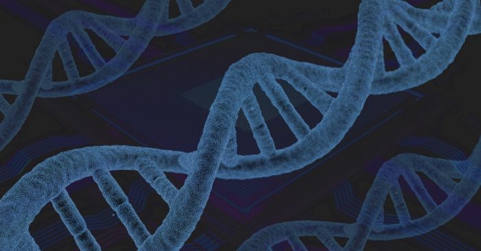 BABS researcher awarded $8m to transform heart disease diagnosis and ...