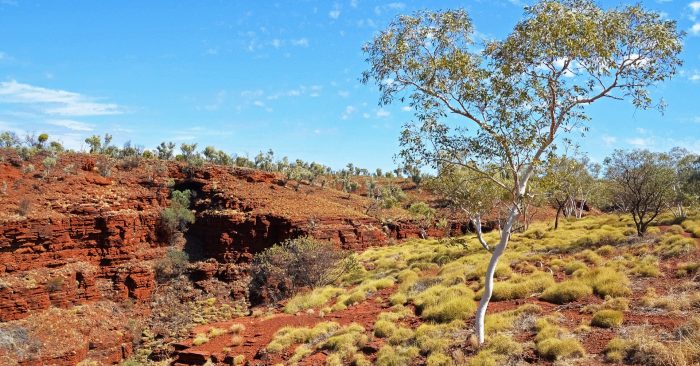 Earth & Sustainability Science Research Centre | School of Biological ...
