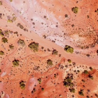 Fowlers Gap Research Station | Faculty of Science - UNSW Sydney