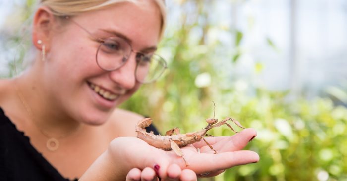 Postgraduate | Earth & Sustainability Science Research Centre - UNSW Sydney