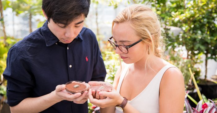 Environmental and Sustainability | Engineering - UNSW Sydney