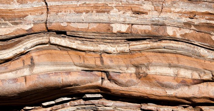 Temperate highland peat swamps on sandstone | Centre for Ecosystem ...