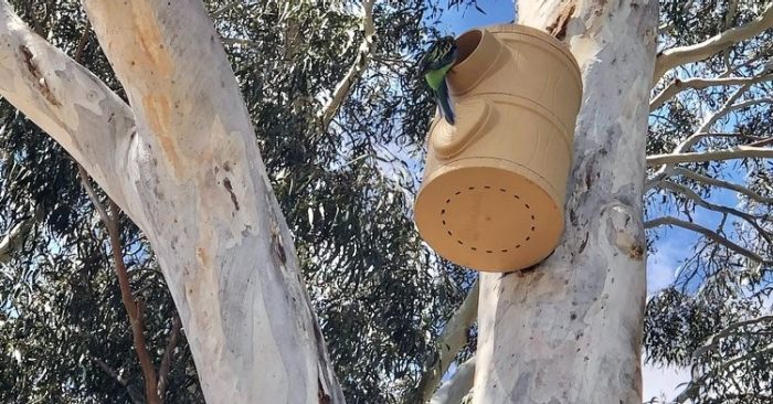 Supplemental habitat for hollow-dwelling animals in our urban setting ...