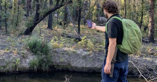 Post-fire recovery of threatened ecological communities | Centre for ...