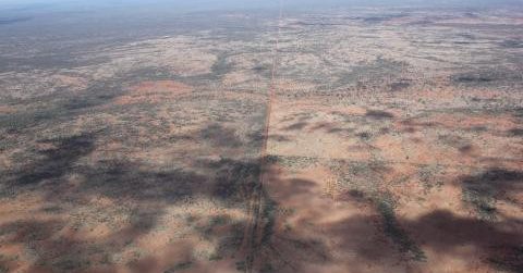 The reintroduction of locally extinct mammals: The landscape ecosystem ...