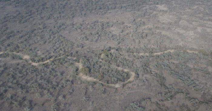 Day 24, Narran Lakes to the Macquarie Marshes | Centre for Ecosystem ...