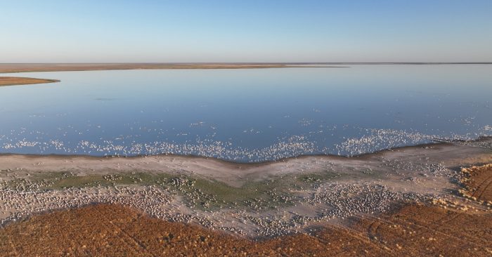 Lower Balonne Flow-MER Program