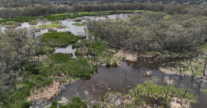 Macquarie River and Marshes Flow-MER Program
