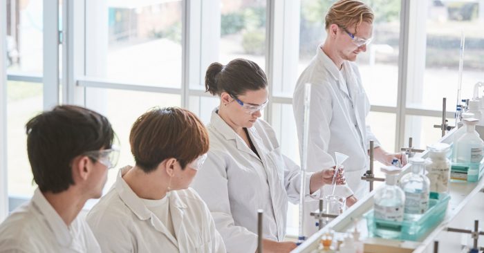 Our research groups | School of Chemistry - UNSW Sydney